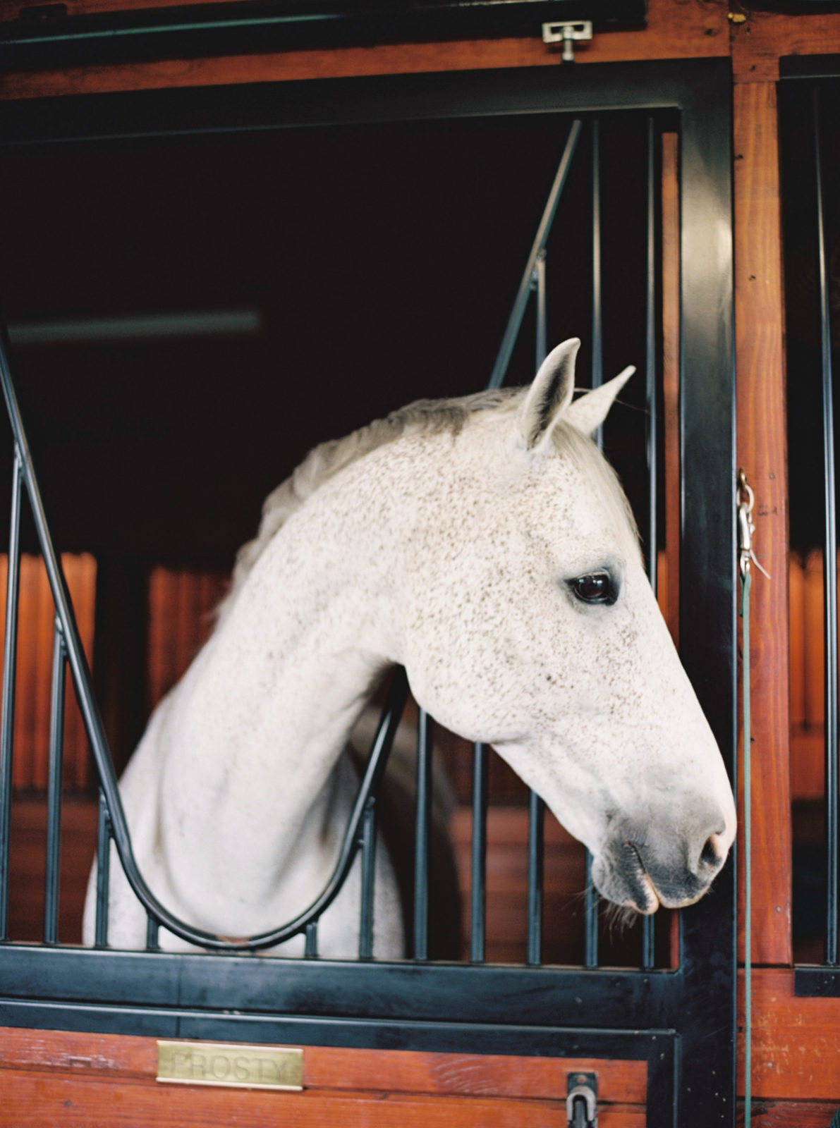 Ashbourne Farms Wedding - Tracy Burch Photography